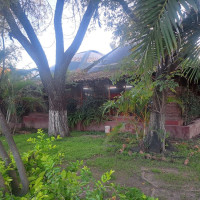 Birrieria Chololo Menu: Authentic Mexican Birria Awaits You!